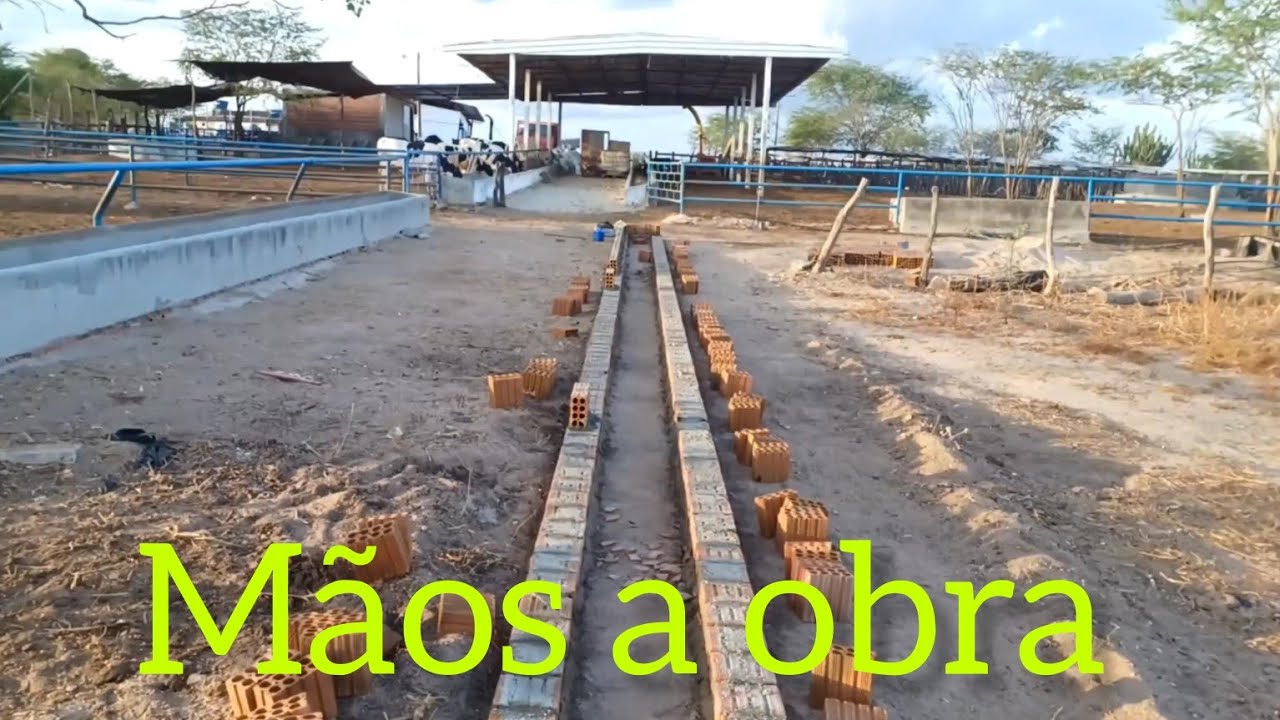 construindo cocheira para mais de 20 animais - YouTube