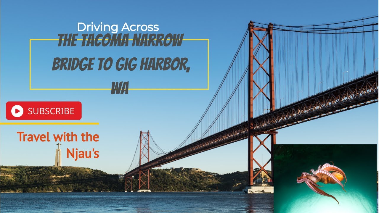 Does a Gigantic Octopus Really Live Under the Tacoma Narrows Bridge? We ...