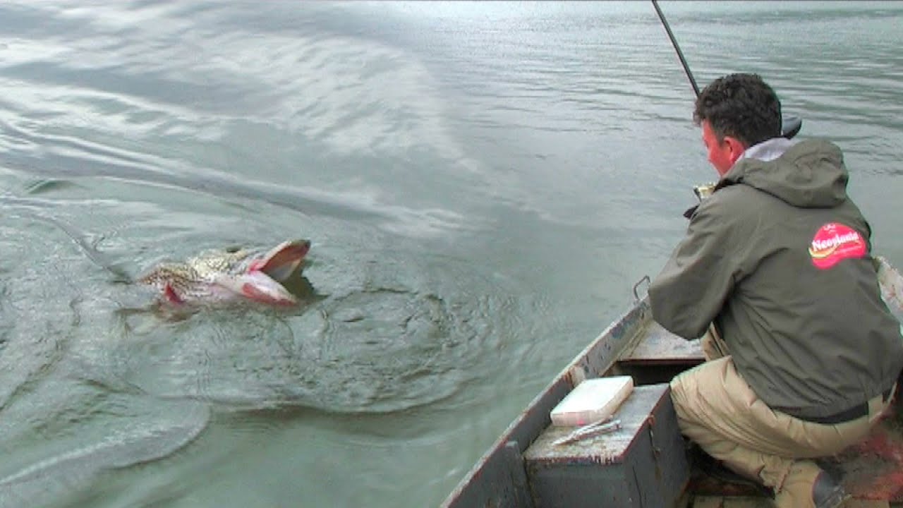 Pecanje štuke i deverike na Zvorničkom jezeru - Varaličarenje | Fishing ...