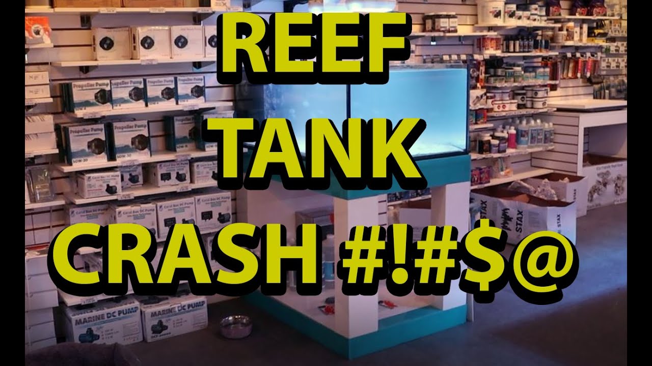 Reef Aquarium Tank Crash Part 2\\ THE REASON FOR THE DESTRUCTION - YouTube