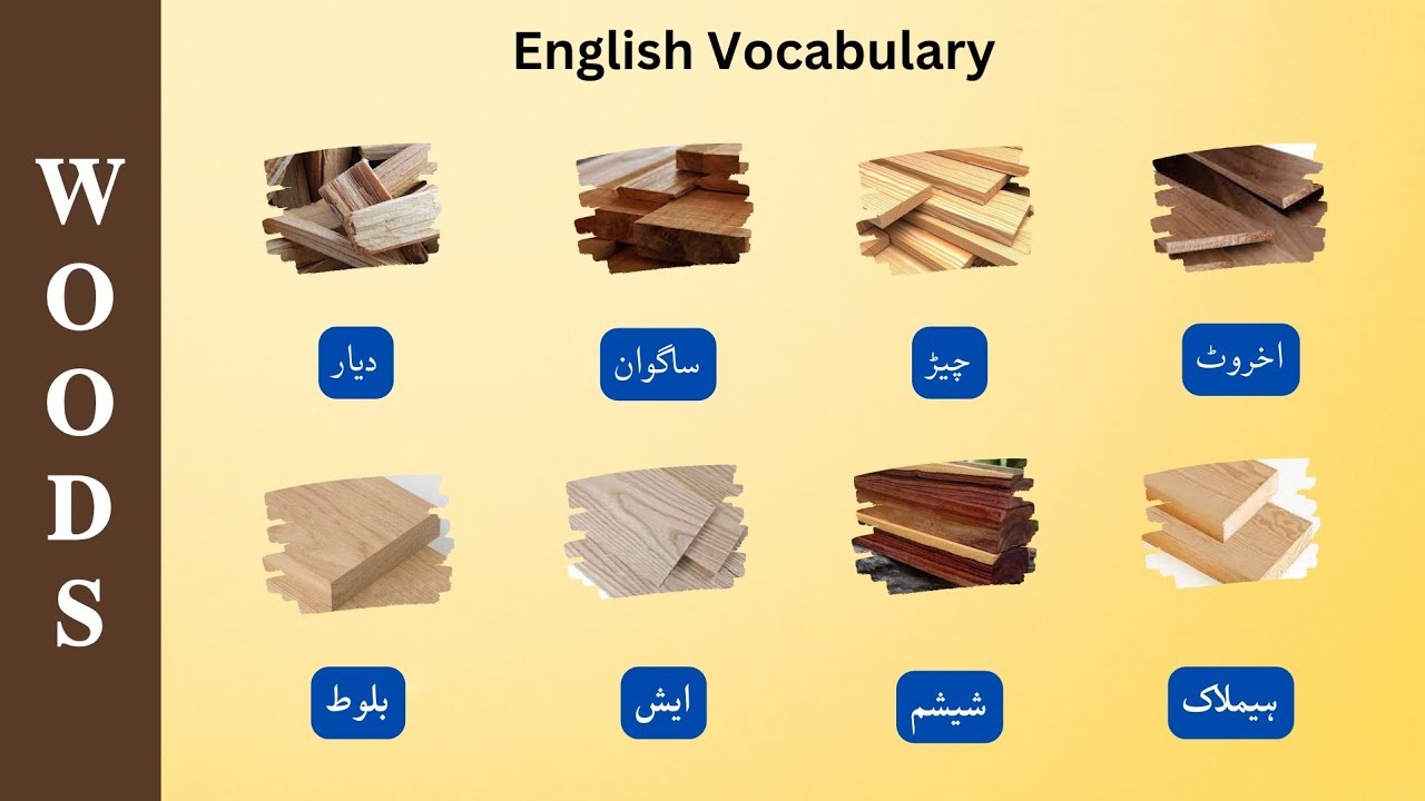 Wood Names in English | Learn English | English Vocabulary - YouTube