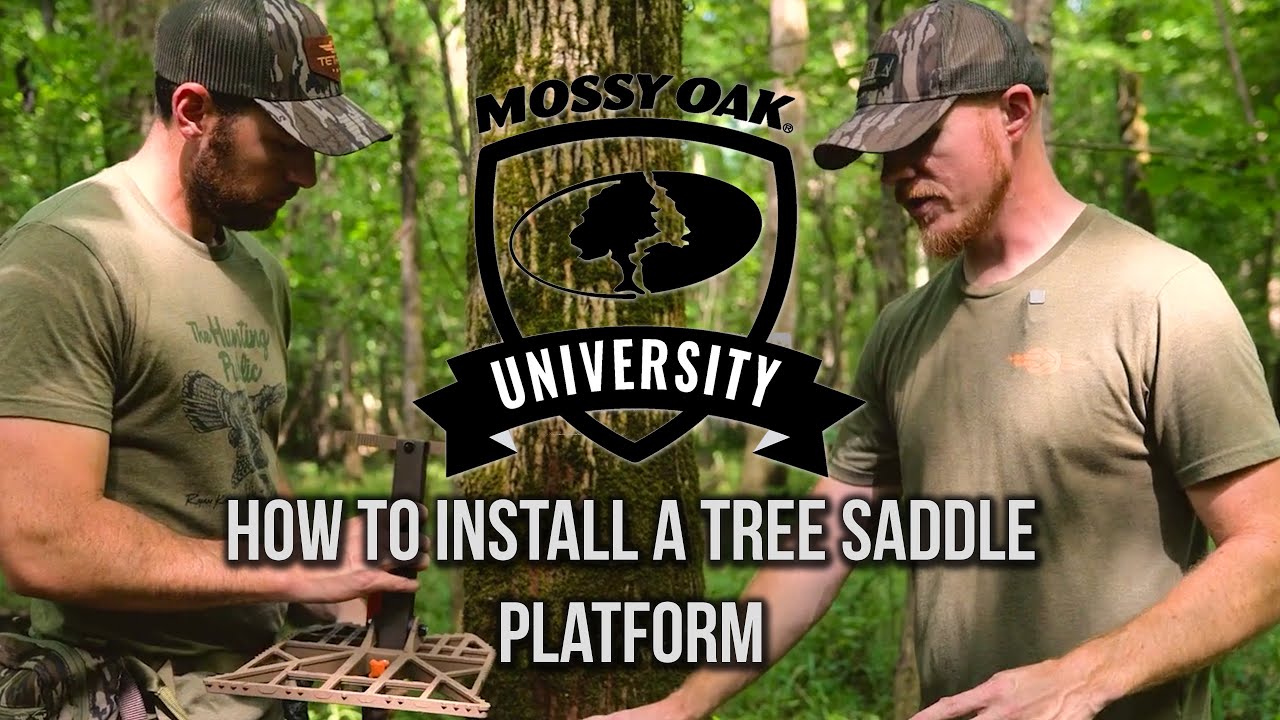 How to Install a Tree Saddle Platform - YouTube