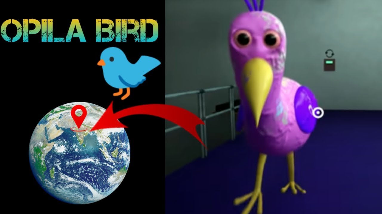 I Found Giant Opila Bird 🐦 On Google Earth! || google map! - YouTube