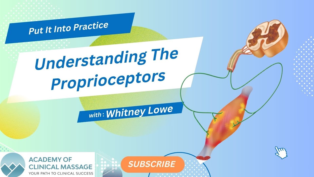 Understanding the Proprioceptors - YouTube