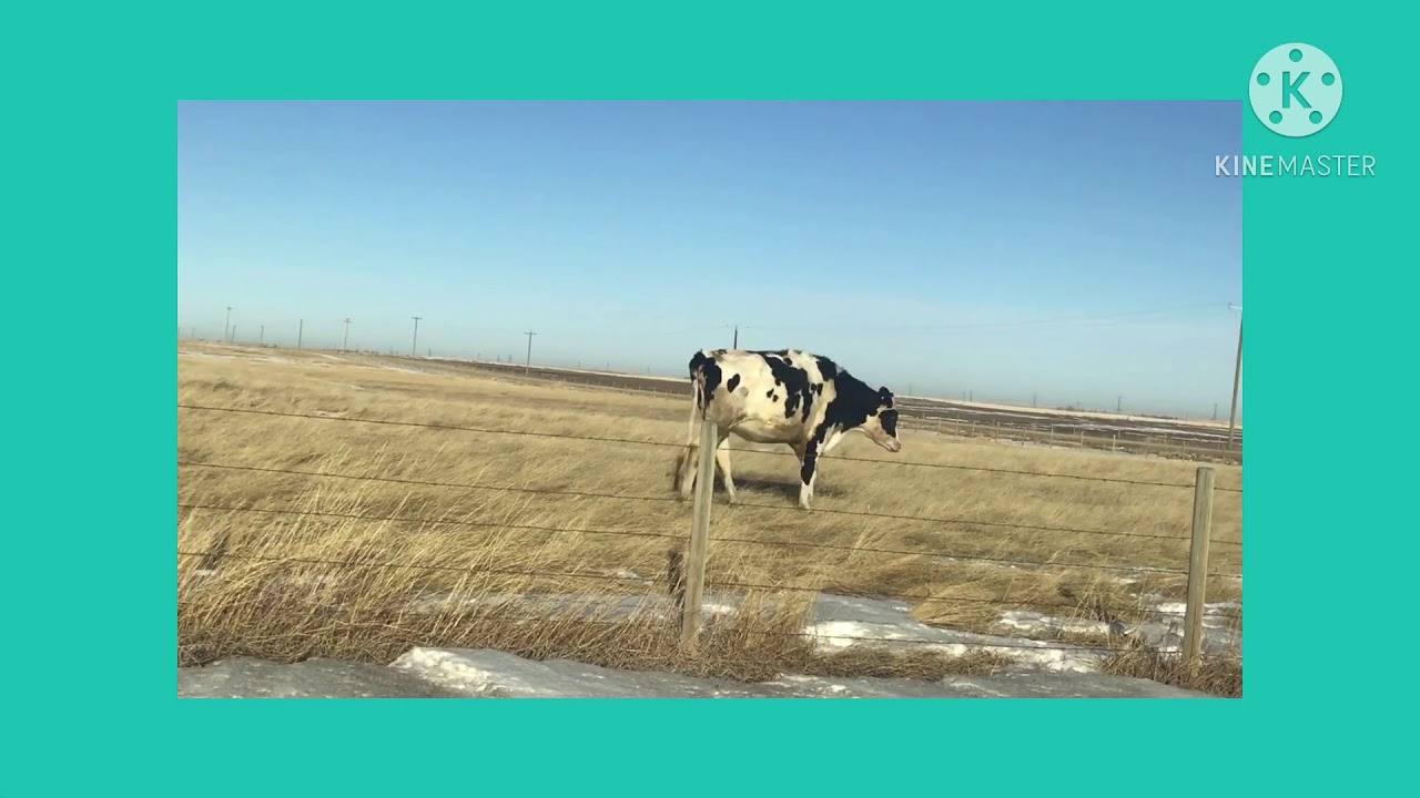 Claresholm alberta Canada Hutterite colony - YouTube