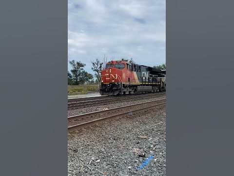 CN 3164 leads a Autorack train through Pine Junction - YouTube