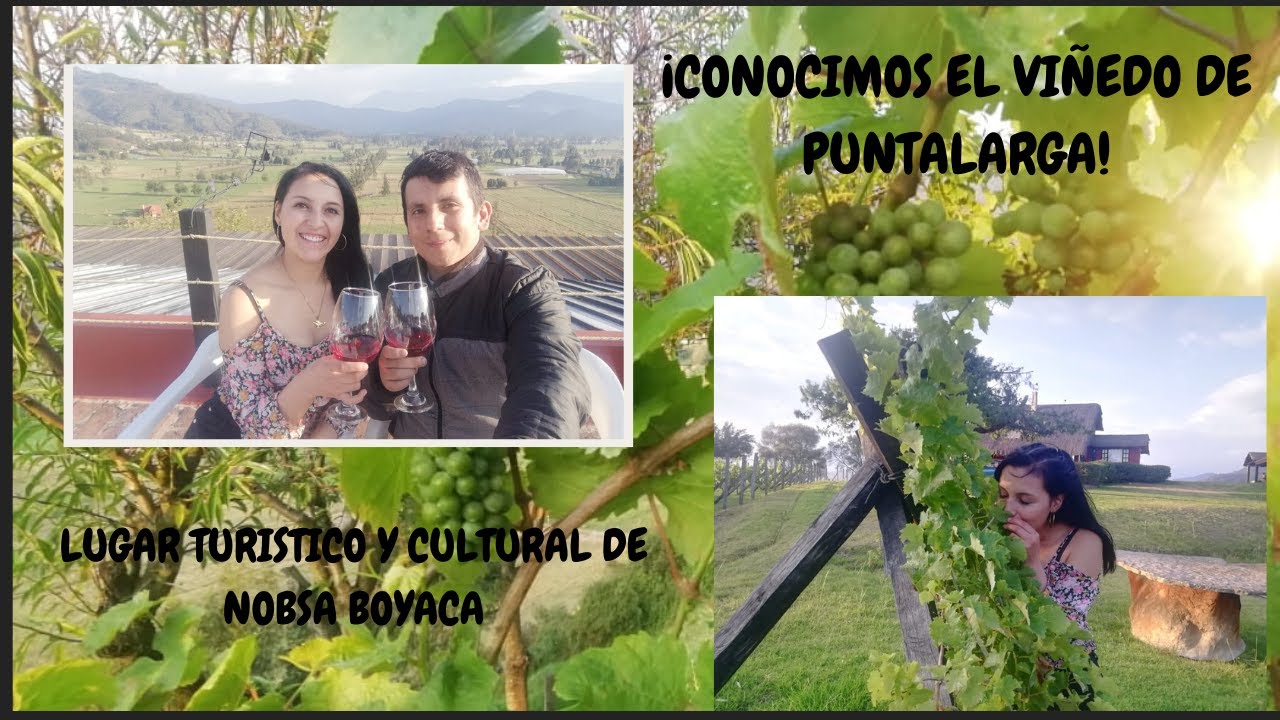 CONOCE EL VIÑEDO PUNTALARGA LUGAR TURÍSTICO DE NOBSA BOYACA (MARQUEZ DE ...