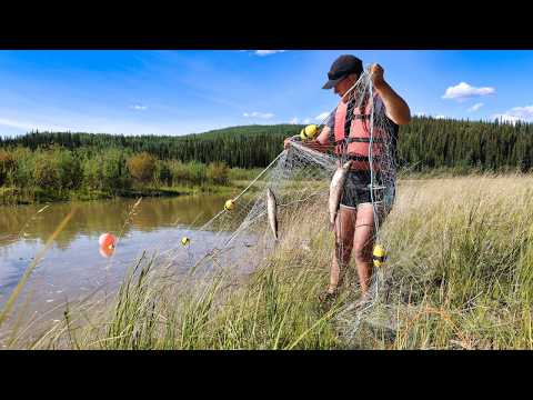 Summer at the Cabin | Chicks, Mushroom Hunting & Netting Whitefish