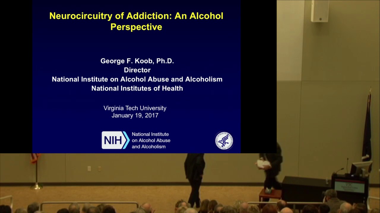 Neurocircuitry of Addiction: An Alcohol Perspective - YouTube