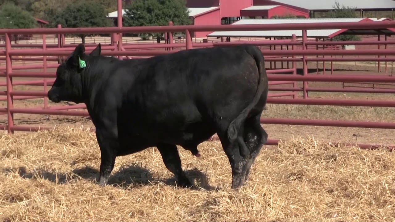 44 Farms Tag 8202 - YouTube