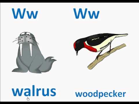 Alphabet Book Ww /Kids Read Along ABC Books/Children's Letter Books ...