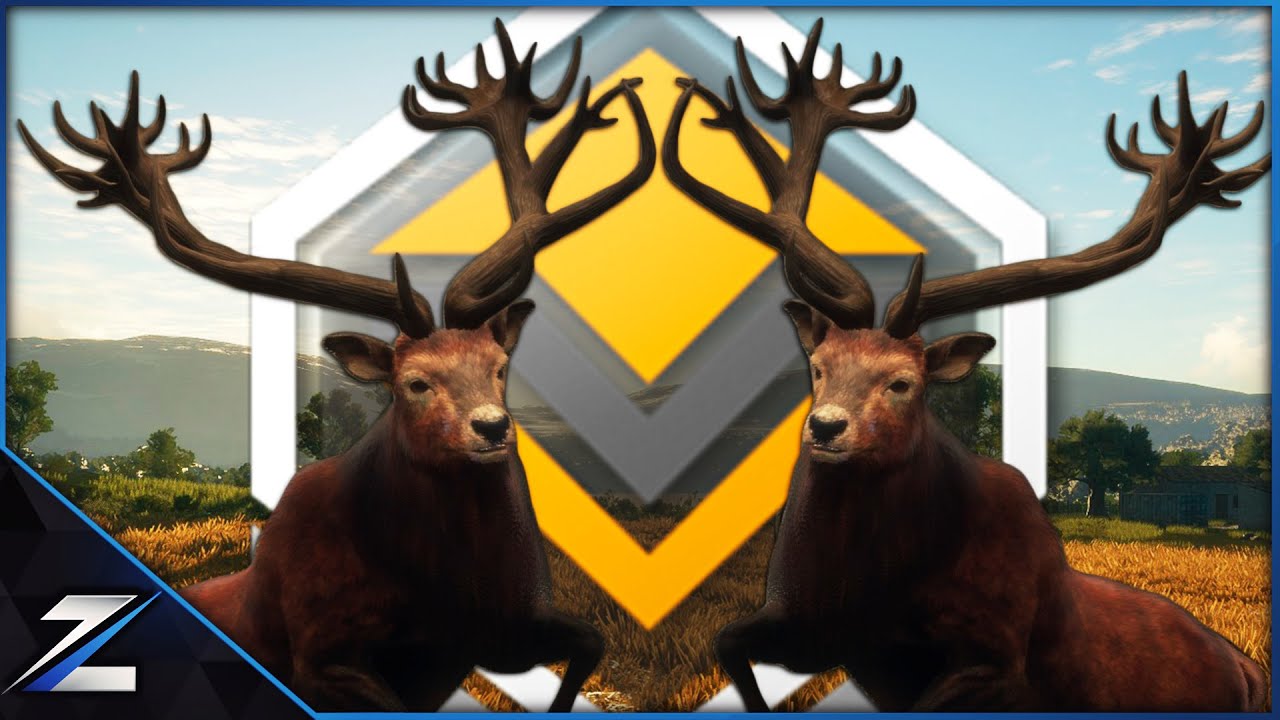 Flying Red Deer and a Dizzy Wolf?! Diamonds and Rares of the GO Grind ...