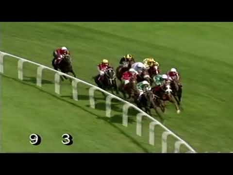 SUNDAY SURPRISE - S. AKDI | 1996 - G3 Kocatepe Koşusu