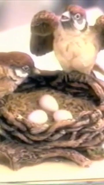 TV Pastor Selling Bird Clocks Sounds Super Drunk at 69% Speed - YouTube