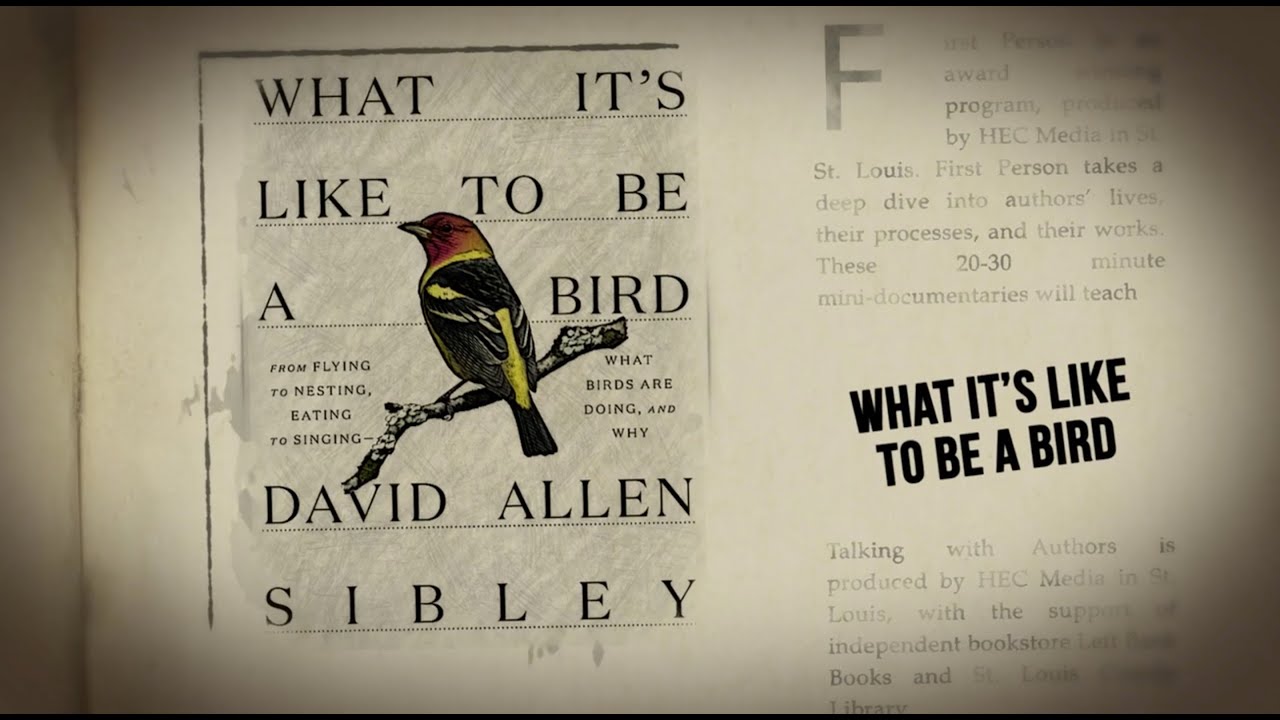 What It's Like to Be a Bird, A Conversation with David Sibley - YouTube