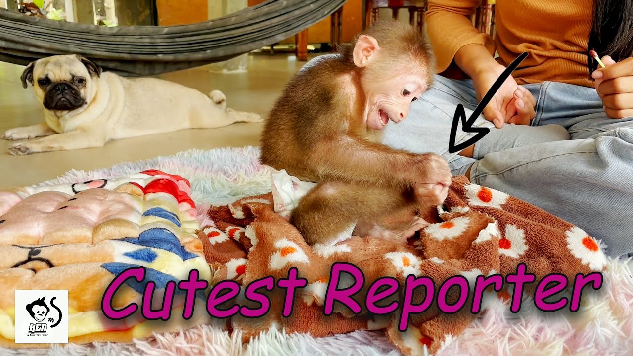 Extraordinary BeeBoy Professionally Pretending Being H@rt His Feet ...