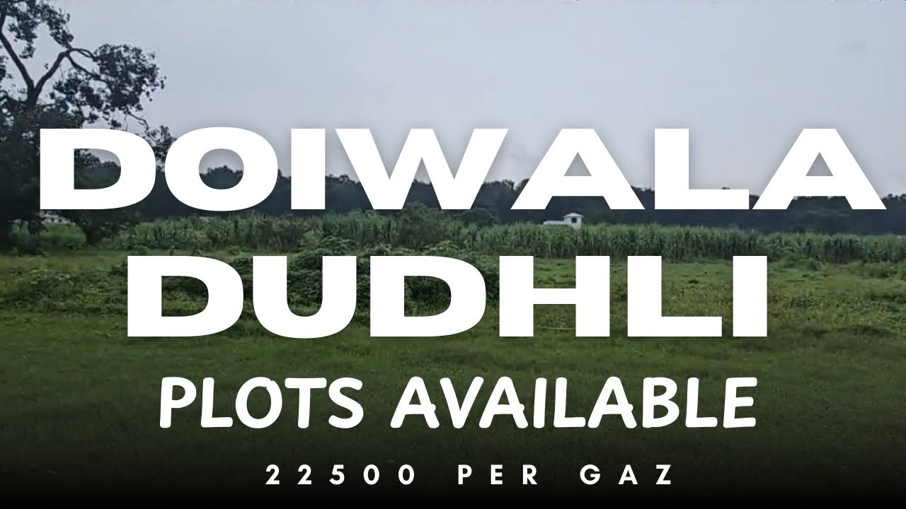 Doiwala Dudhli, Dehradun | 4 Bigha Land For Sale | Clear Title | Best ...