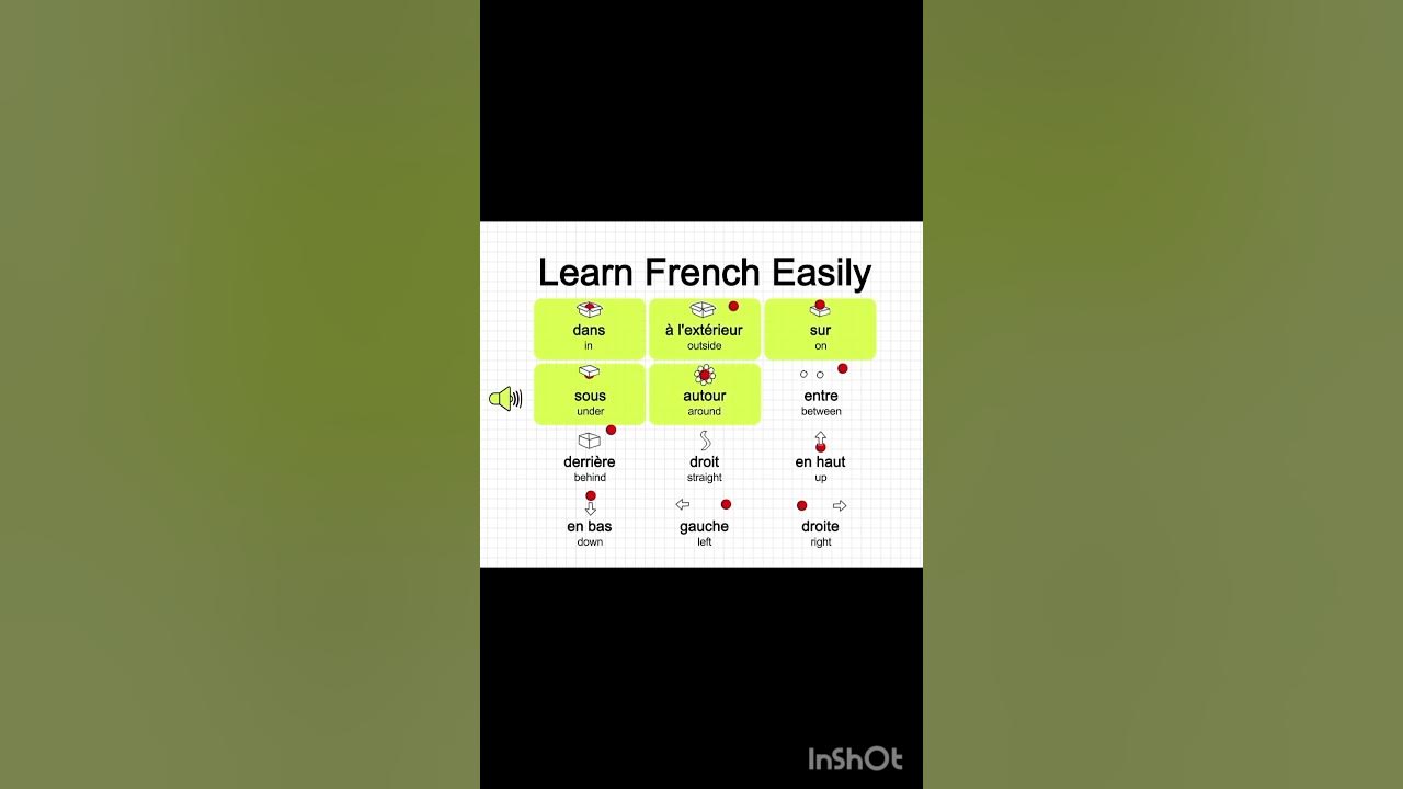 Learn French language🇫🇷🇬🇫🇲🇶🇳🇨🇵🇫🍟🇹🇫📯🥐🥖⛄☃️🆓🆓🆒🉑👁️‍🗨️📃📜 #teacher # ...