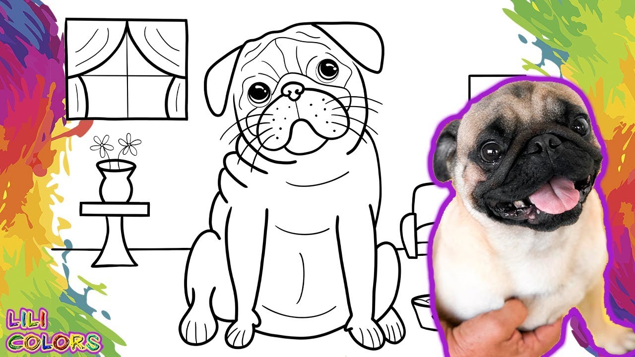 Como Desenhar um PUG desenhei meu CACHORRO Colorindo PUG Desenho ...