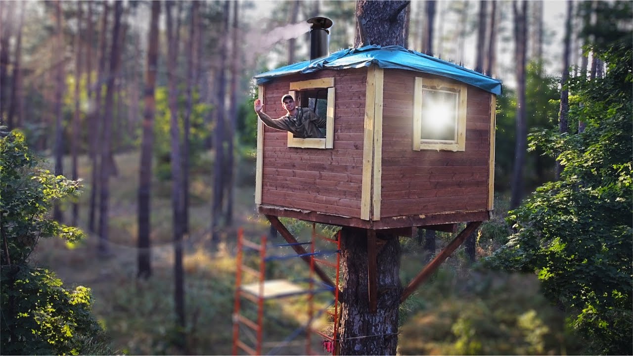 Building a 5m TREE HOUSE in a wild forest! Part 2 - YouTube
