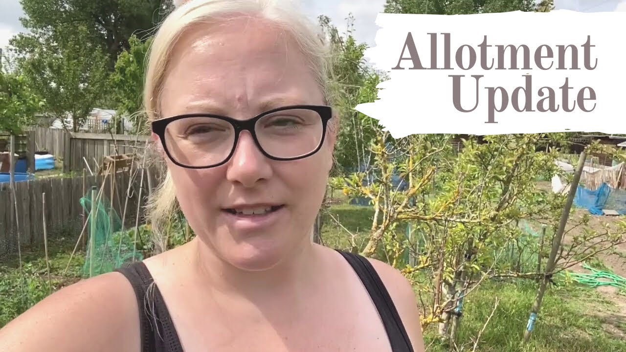 First Allotment update - June 2020 - YouTube