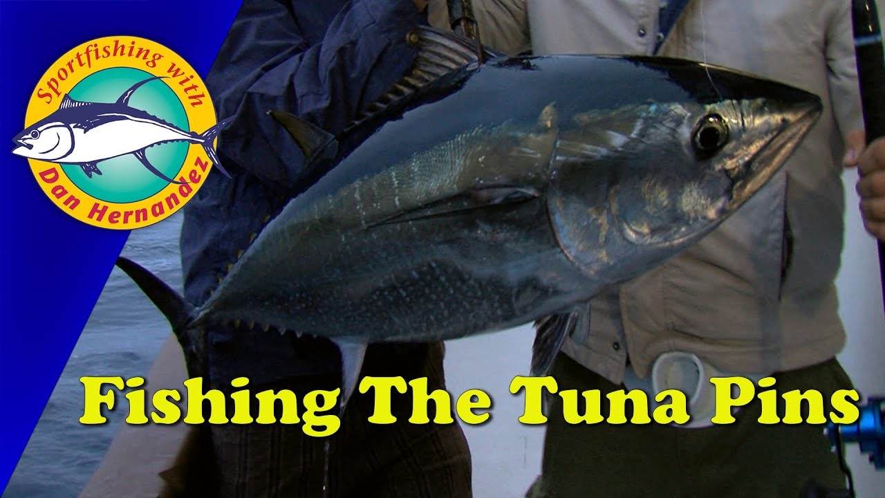 Fishing The Tuna Pens | SPORT FISHING - YouTube