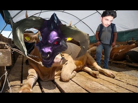 HIZIR ÇAKIR MİRSAD TABAK HEYECAN DOLU BACKDOOR +18 MEGAMIND