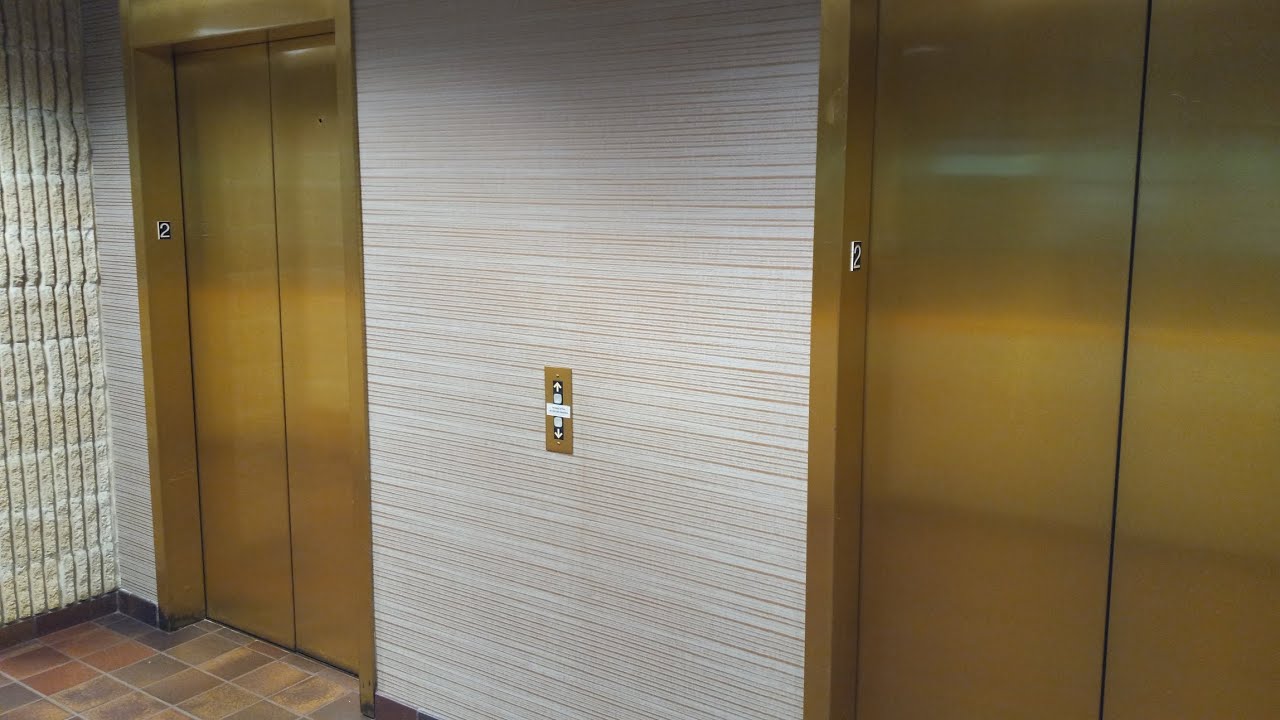 Gold Colored Dover Impulse Hydraulic Elevators - YouTube