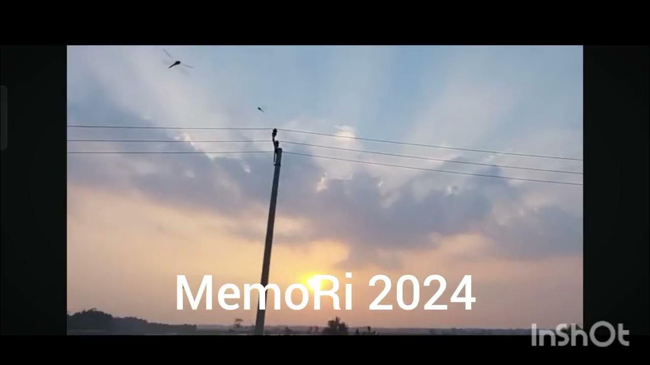 AlDi (14) memoRi swkudejudakuswkyu2024 - YouTube