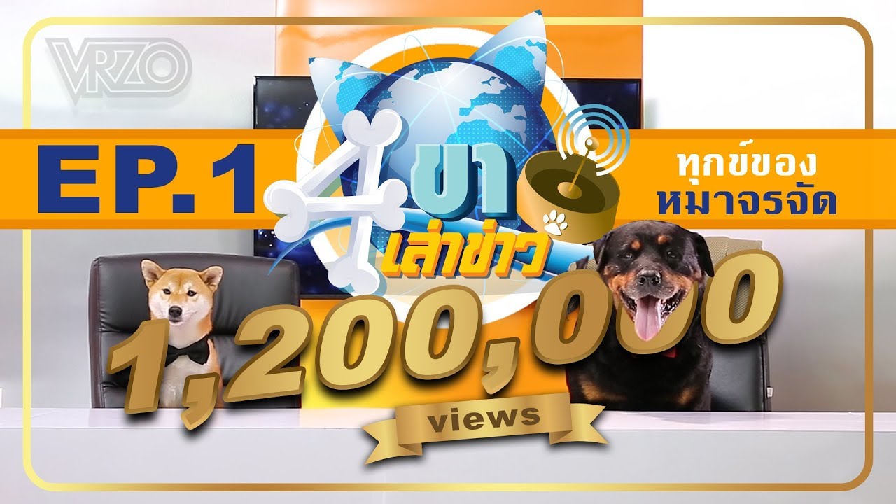 4ขาเล่าข่าว - "ทุกข์ของหมาจรจัด" [Ep.1] l VRZO - YouTube