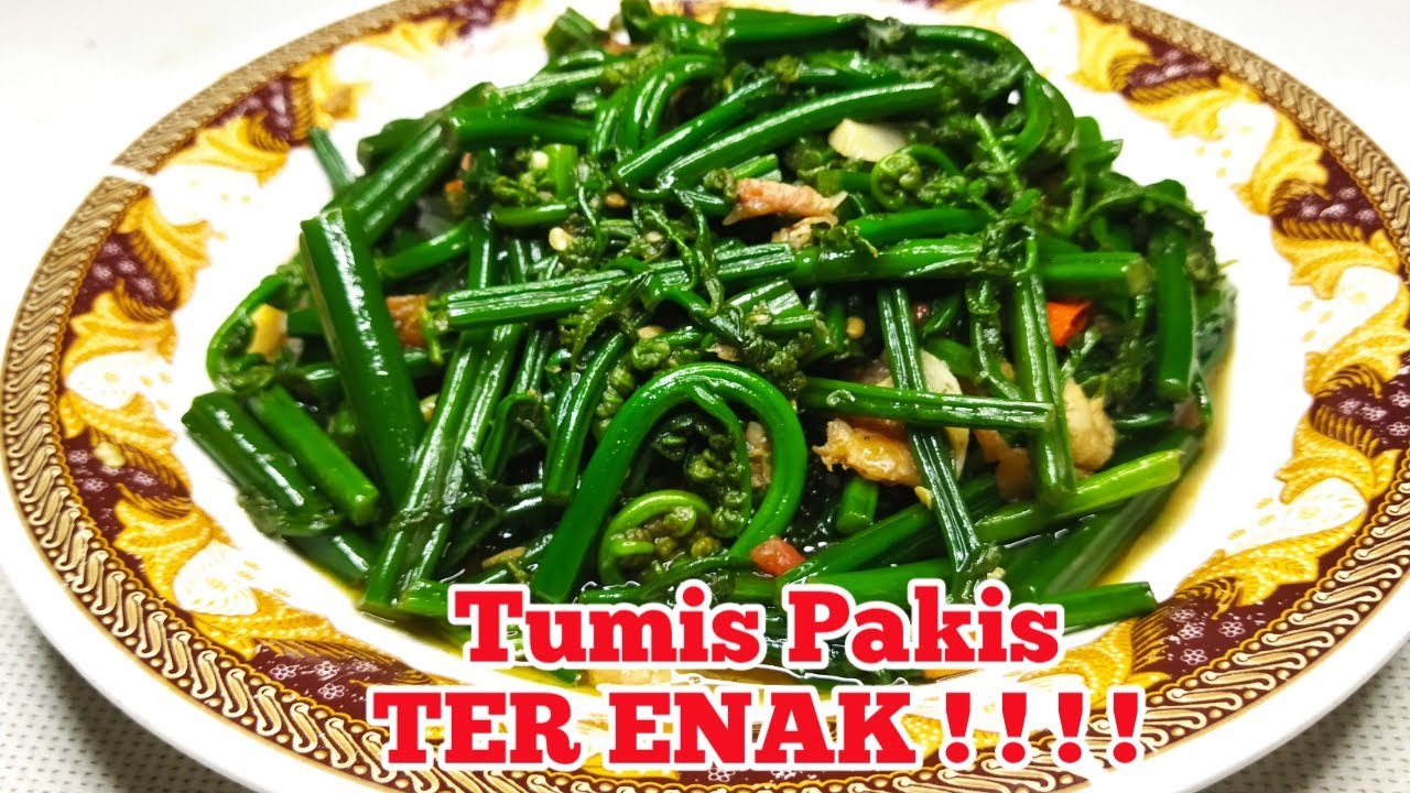 BERUNTUNG !!! MASIH BANYAK DI KALIMANTAN SAYUR INI || SAYUR PAKIS # ...