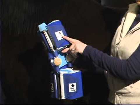 Fitting the Dynasplint Vet Equine Fetlock Contracture - YouTube