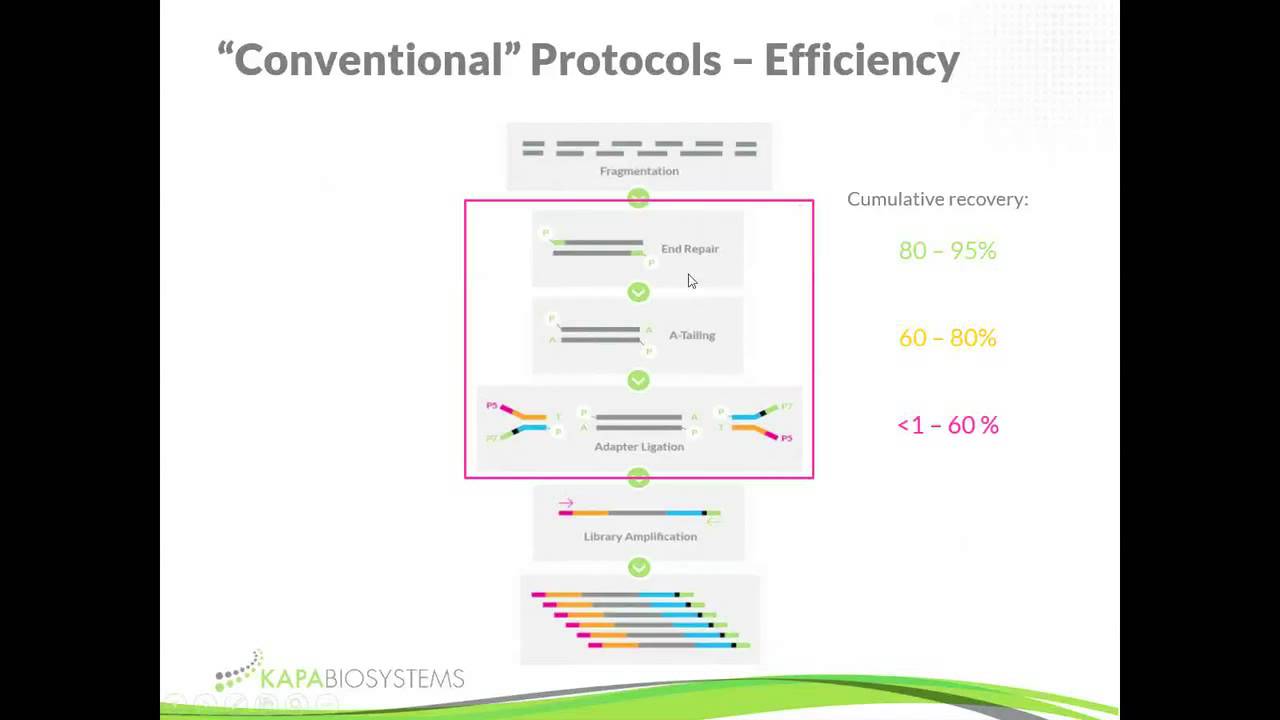 NGS Library Preparation Theory and Practice Part 2 HD - YouTube