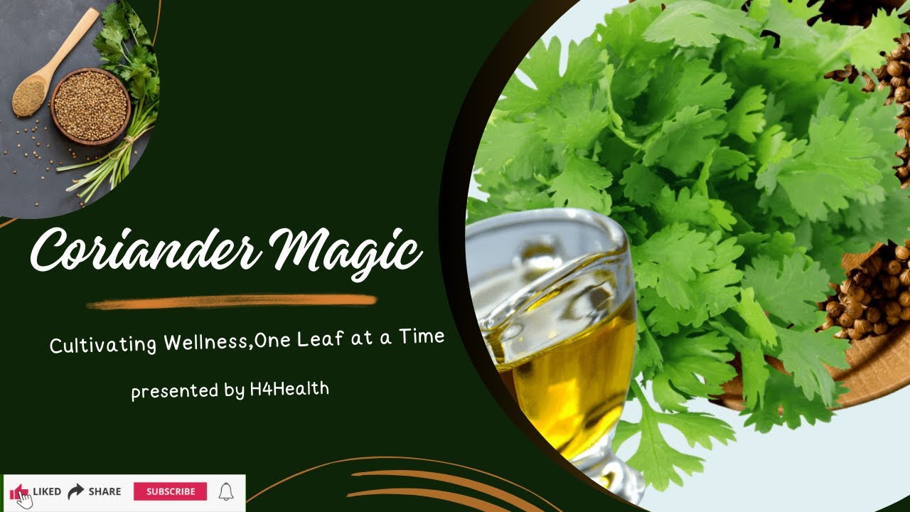 Health benefits of coriander|Coriander Magic: Transforming Your Health ...