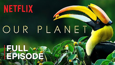 Our Planet - FULL EPISODES - Netflix - SERIES - YouTube