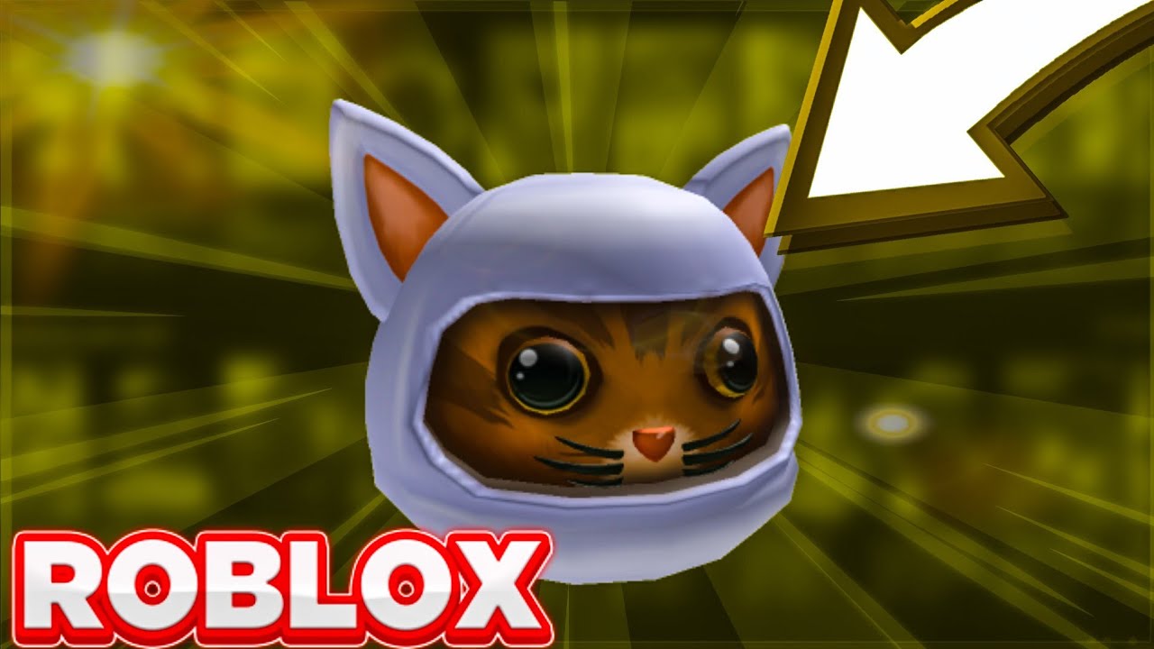 NOVO CODIGO ROBLOX RIHAPPYCAT2021 - YouTube