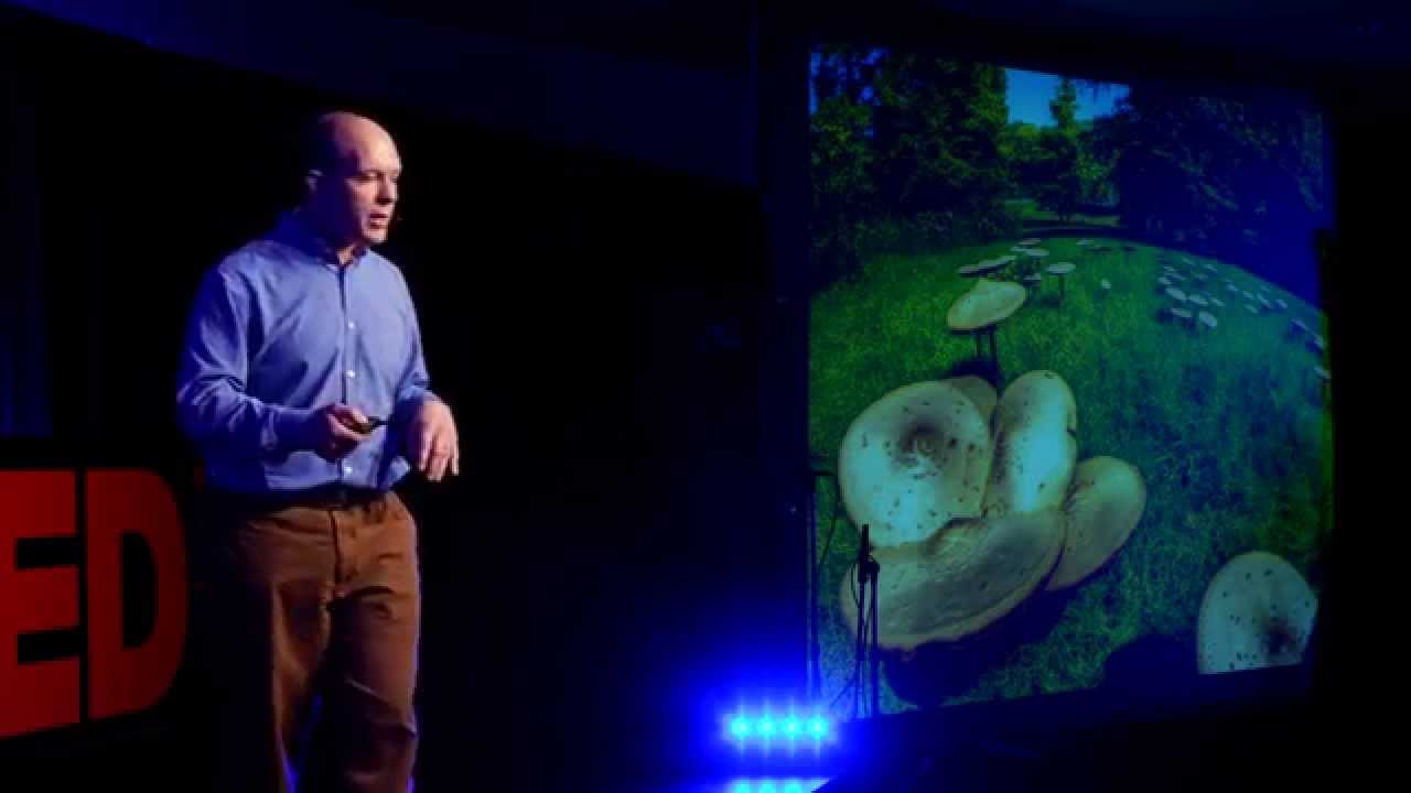 The future of discovery -- citizen science | Rob Dunn | TEDxSantaCruz ...