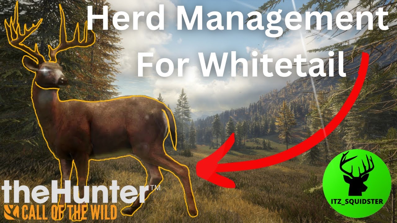 How to use Herd Management for Whitetail!! | theHunter: Call of the ...