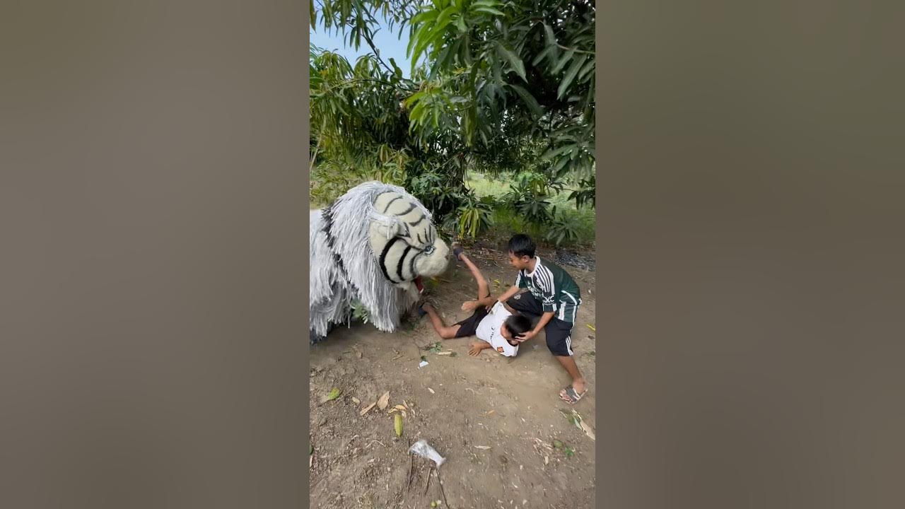 Bocil lagi jalan Dikagetin can macanan - YouTube