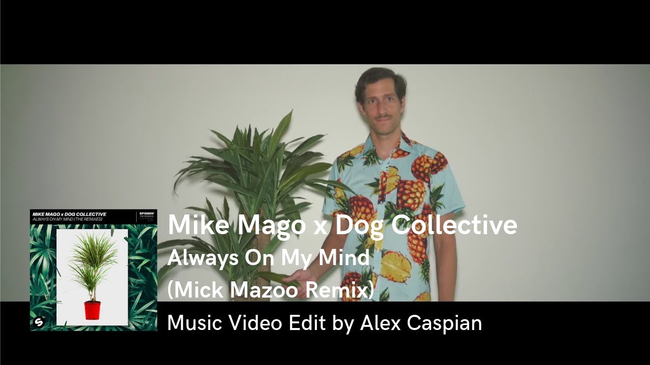 Mike Mago x Dog Collective - Always On My Mind (Mick Mazoo Remix ...