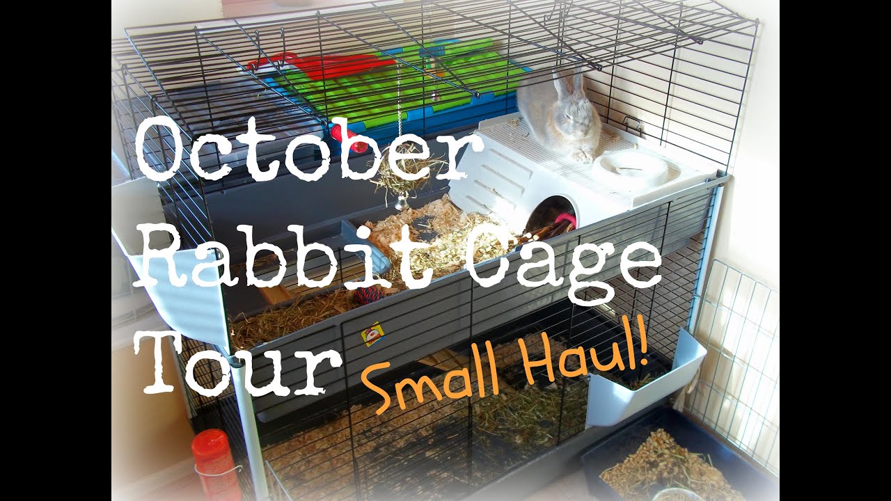 October Rabbit Cage Tour and A Small Haul | RosieBunneh - YouTube