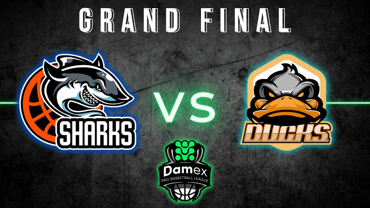Shark Vs Ducks - Grand Final Damex Pro Basketball League 2023 - YouTube