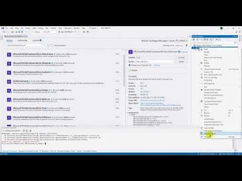 Practical Expam: Code chay mẫu trong 80 phút với OData, Entity Framework Core, Razor Page - YouTube