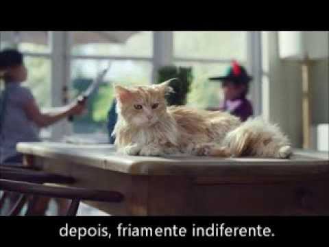 Be More Dog- O2 (legendado pt-br) - YouTube