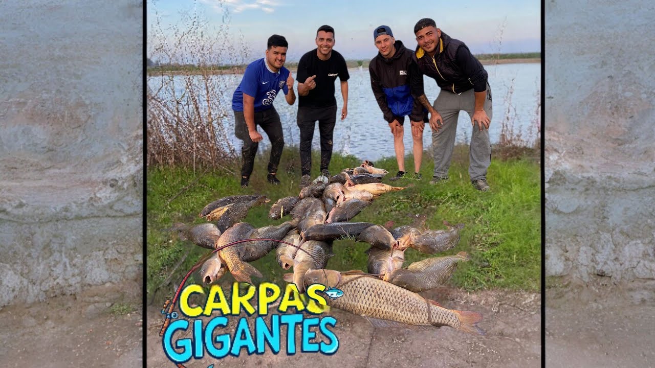 SACAMOS 50 CARPAS EN ROQUE PEREZ - YouTube
