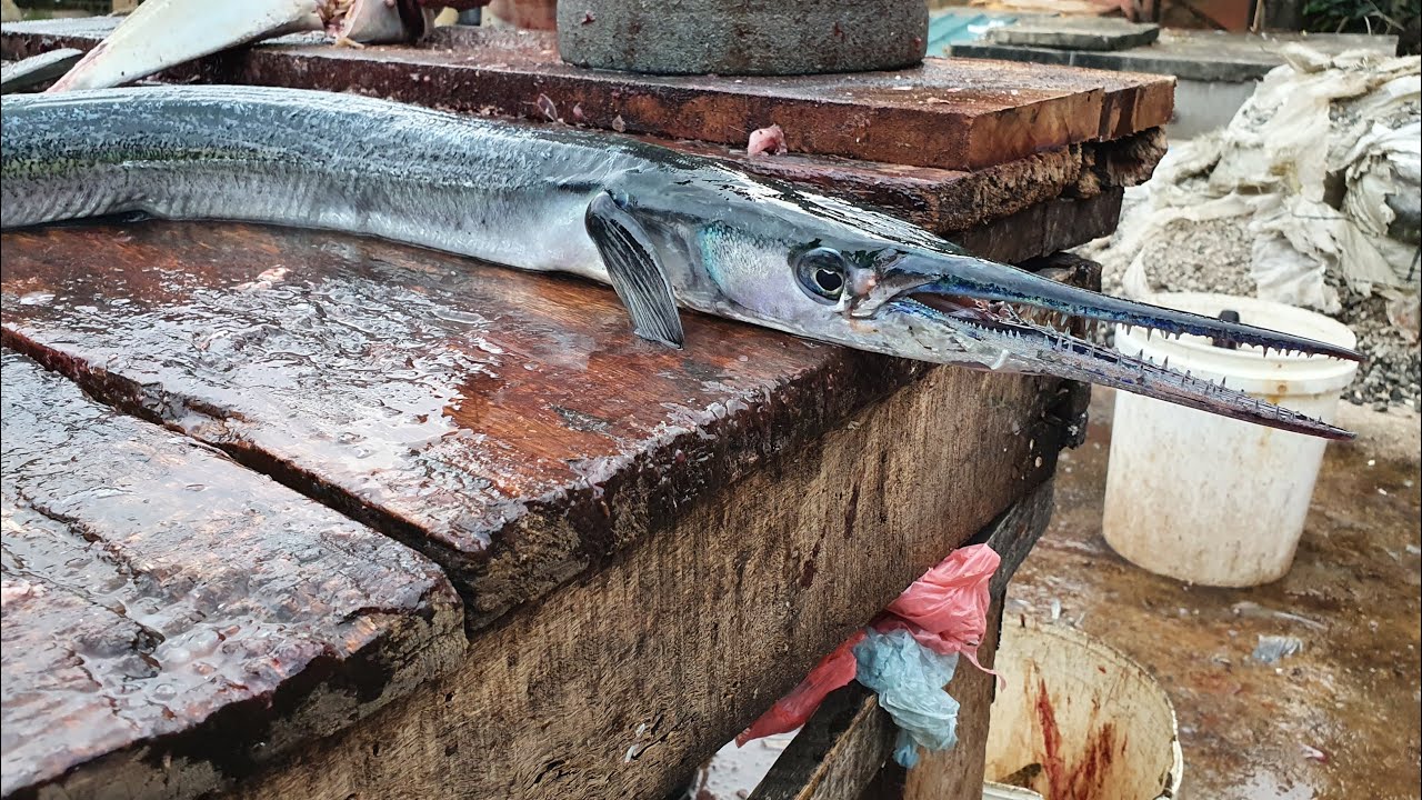 5 Ft Long Monster Gar Fish Cutting | Monster Fish Cutting Skills - YouTube