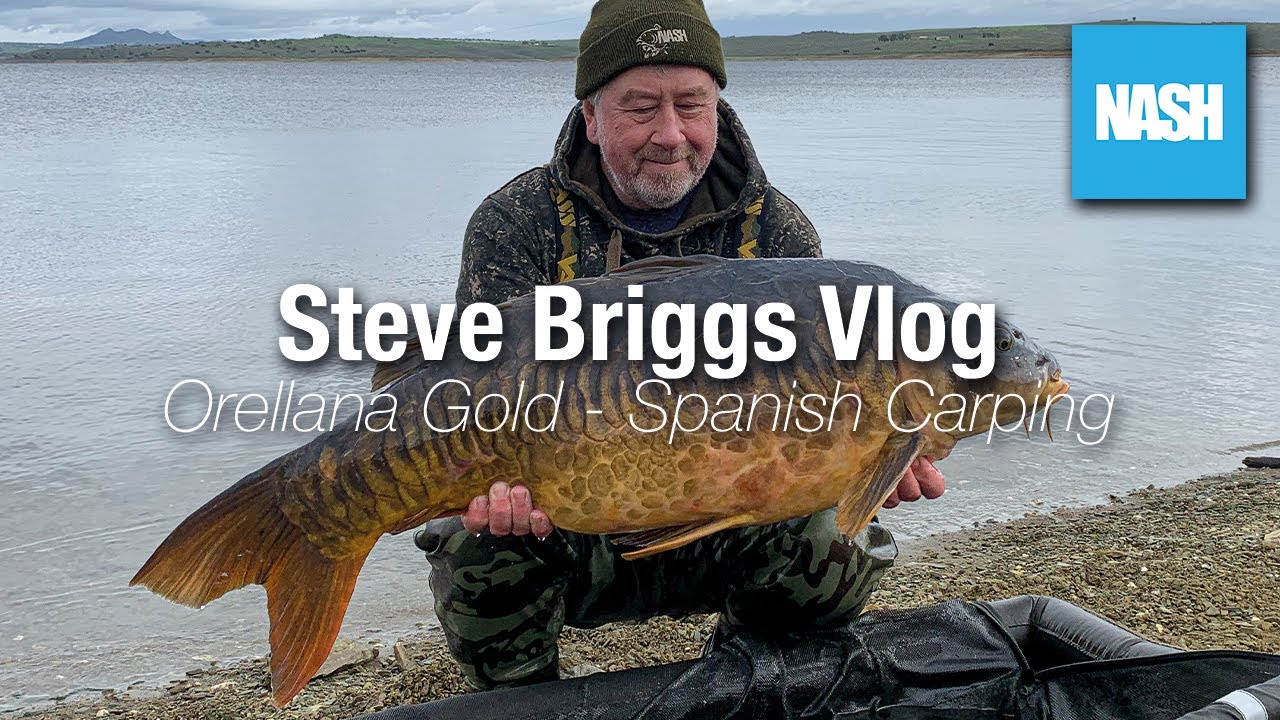 Incredible Spanish Carp Fishing - Steve Briggs on Orellana! - YouTube