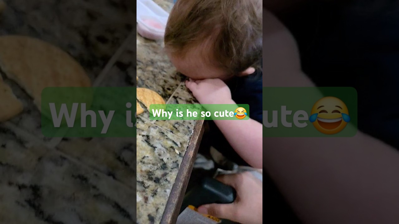 HIS PERSONALITY is cute asf😂 #baby #babyboy #funny #funnyvideo # ...