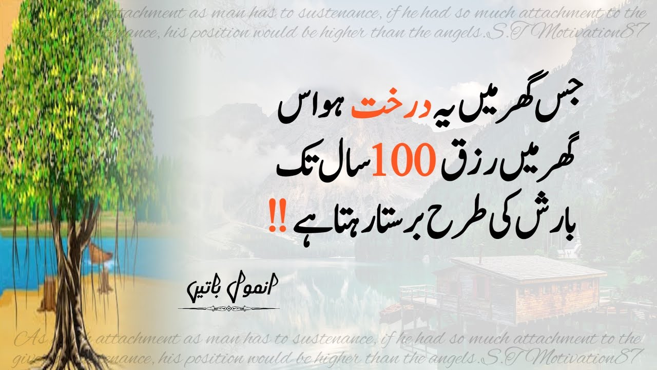 Jis ghar me ye darakht hota hai us ghar me | Anmol Aqwal | Urdu Quotes ...