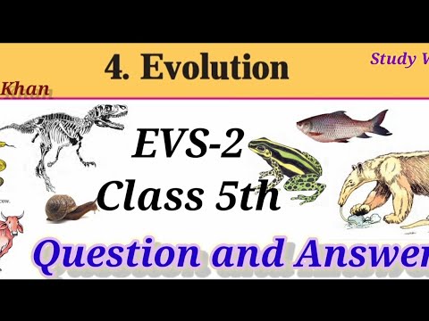 Class 5th|EVS-2 Lesson 4. Evolution| Maharashtra State Board|Questions ...